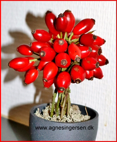 Hyben dekoration « Agnes´ kreative univers